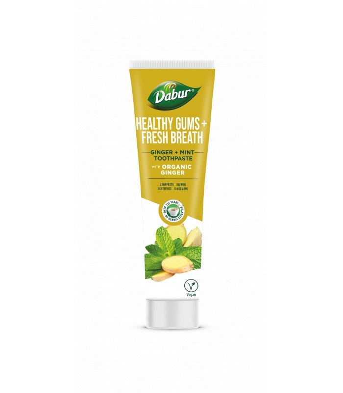 Dabur Ginger + Mint Toothpaste 100ml :: Shalamar Foods